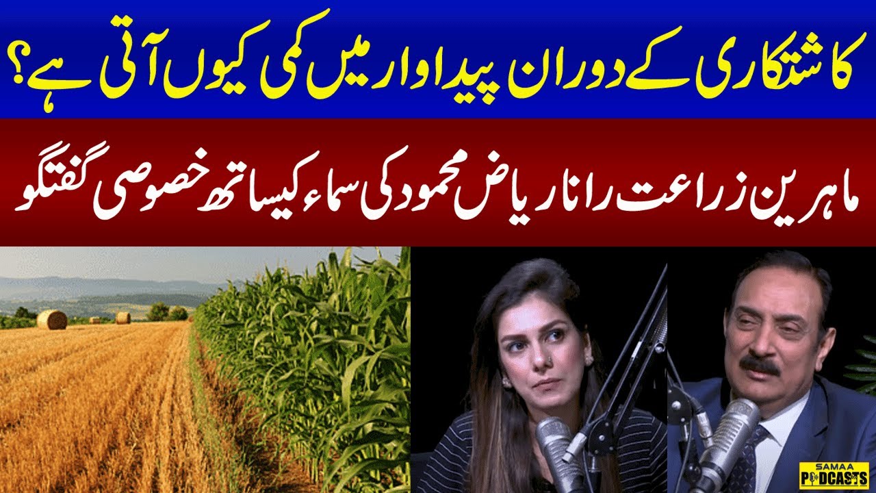 Agriculture Expert Rana Riaz Mehmood's Exclusive Talk About Kitchen ...