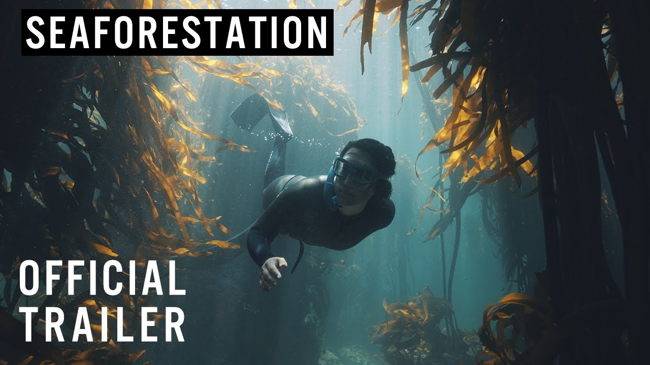Seaforestation | Official Trailer - YouTube