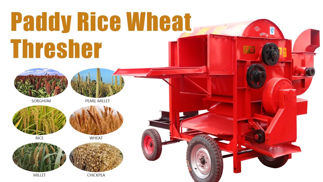 Paddy Rice Wheat Thresher for Rice, Wheat, Sorghum, Millet, Beans ...