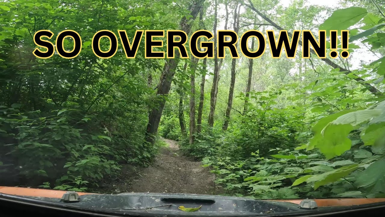 Tight river trails!! #polaris #rzr #skagit - YouTube