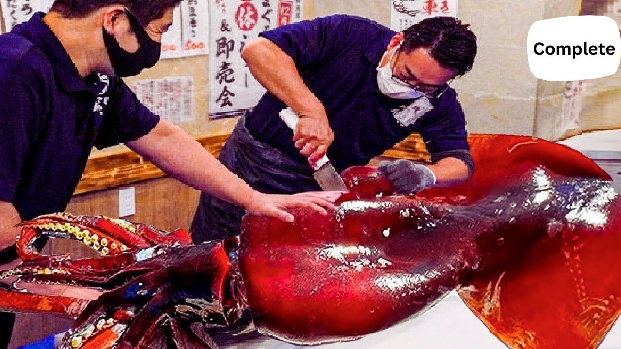 Incredible Giant Squid Fishing How to Cutting Giant Squid And Squid ...