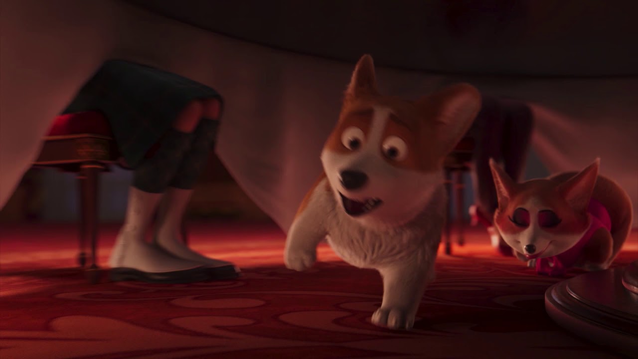 Corgi Un Perro Real - YouTube