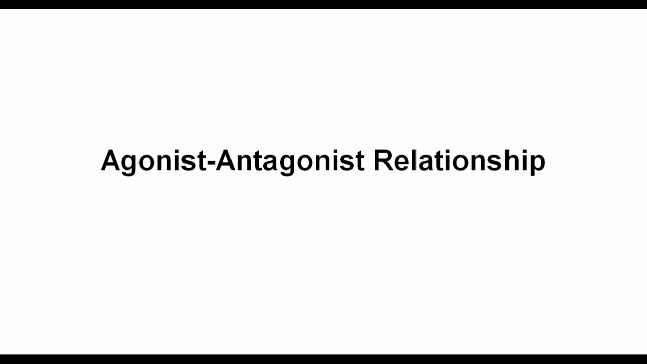 6- Agonist - Antagonist Relationship - YouTube