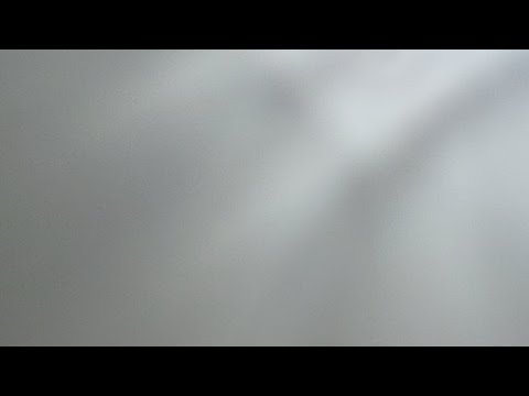 Mustafa Tatcı | Füsusul Hikem: Güzel Koku ve Salât üzerine