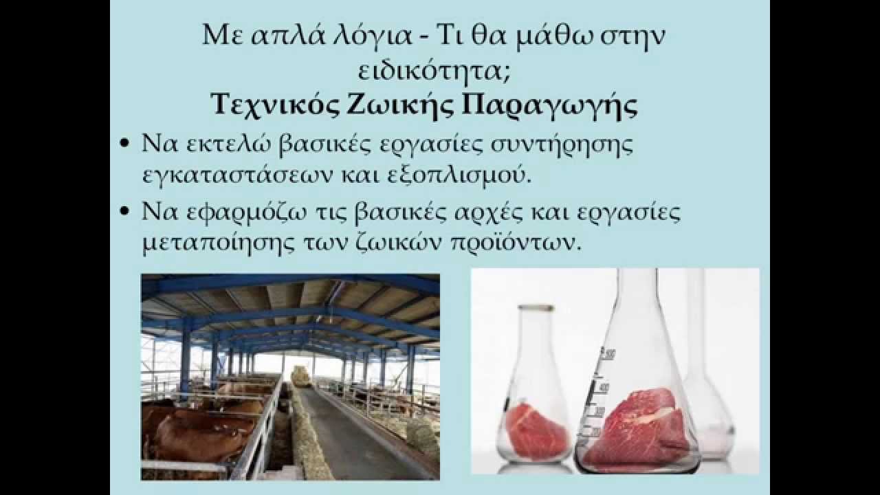 Τεχνικός Ζωικής Παραγωγής - YouTube