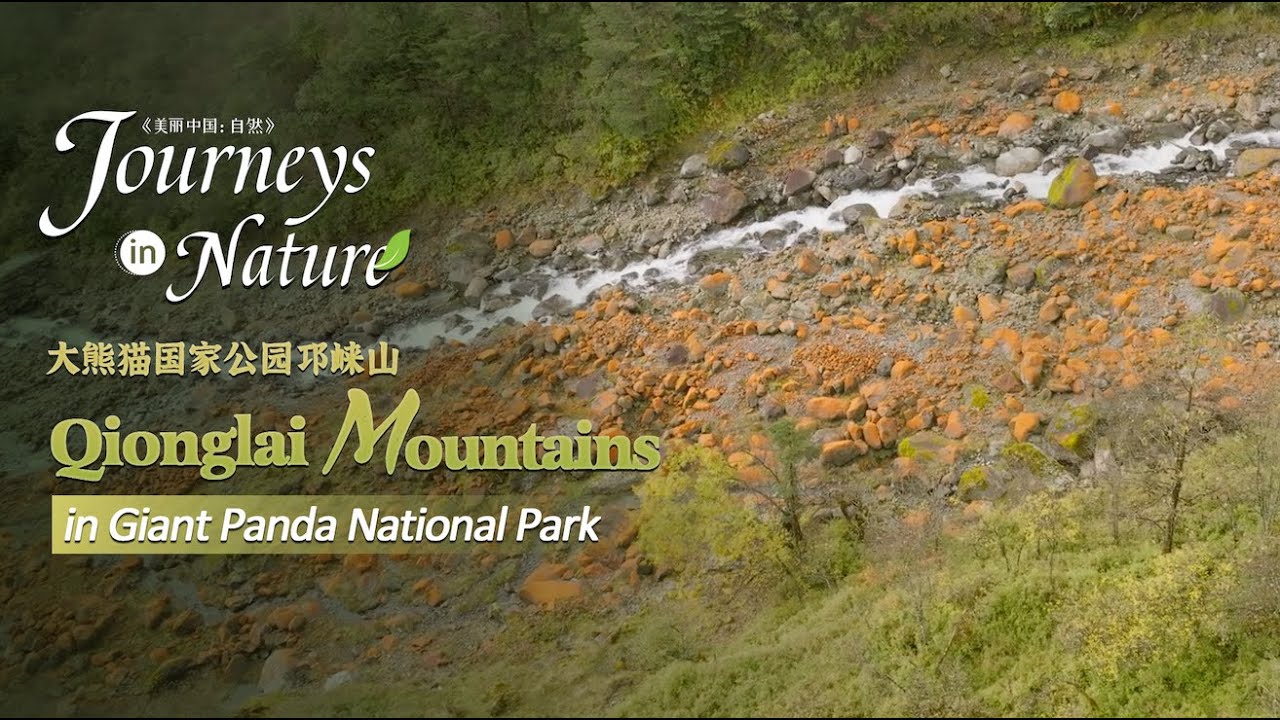 Qionglai Mountains Series Ep. 5: The colors of Autumn - YouTube