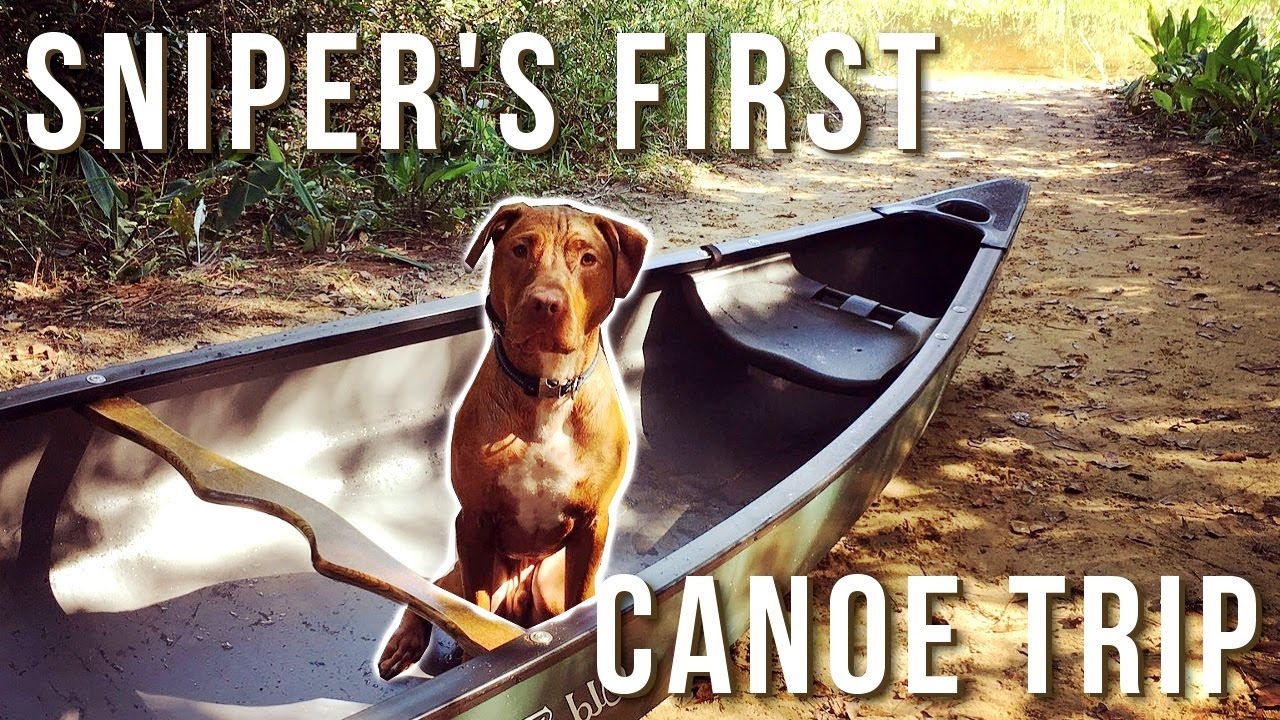 Dog's First Canoe Trip! - YouTube