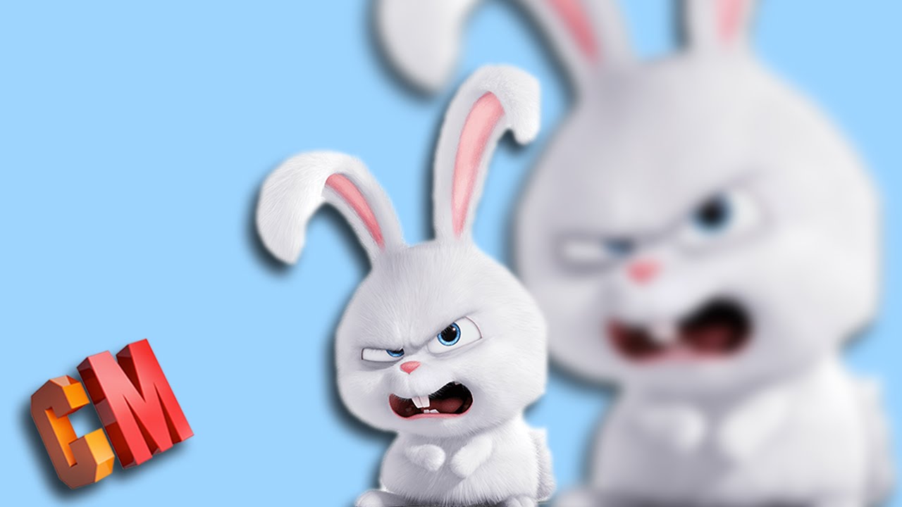 Max and Duke try to join Snowball - Secret Life of Pets - YouTube