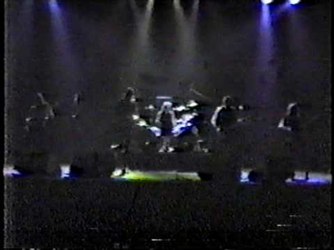 DC HAWKS 1982 / TED NUGENTS TOURING BAND - YouTube