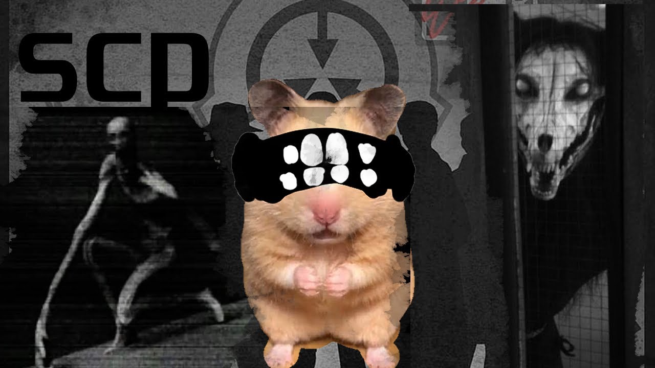 SCP-EASY PATI MI BRO - YouTube