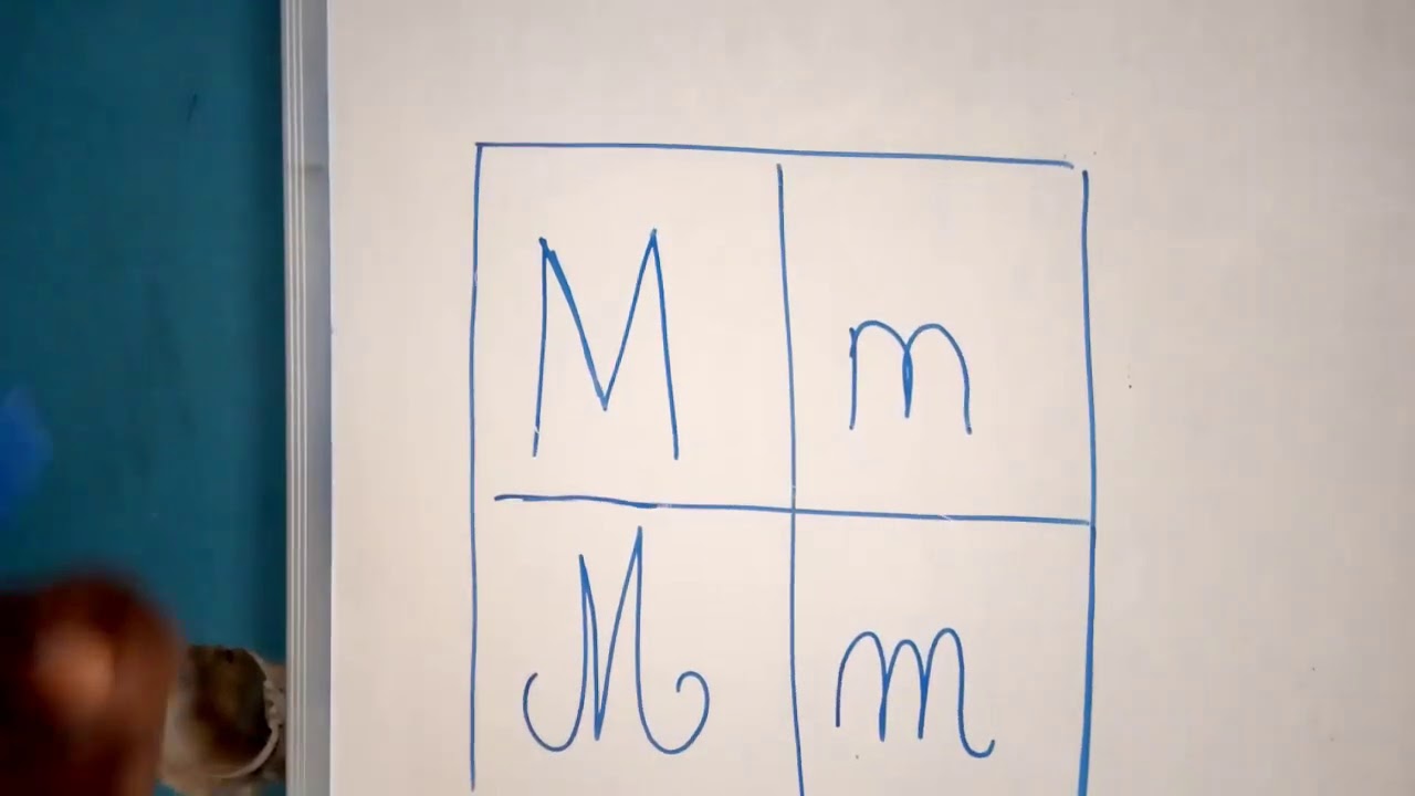 Leitura e escrita da letra m - YouTube