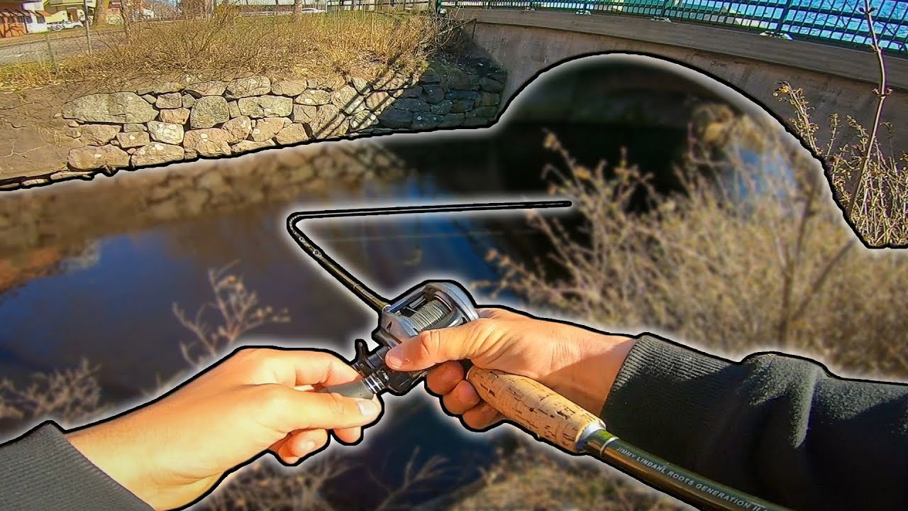 Fishing Small River in the City (VERY SHALLOW) | Team Galant - YouTube