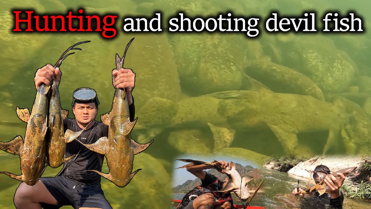 Hunting and shooting devil fish in strong water. - YouTube