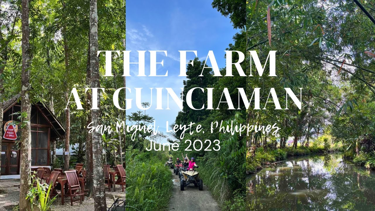 THE FARM AT GUINCIAMAN | SAN MIGUEL, LEYTE | #travelvlog #leyte # ...