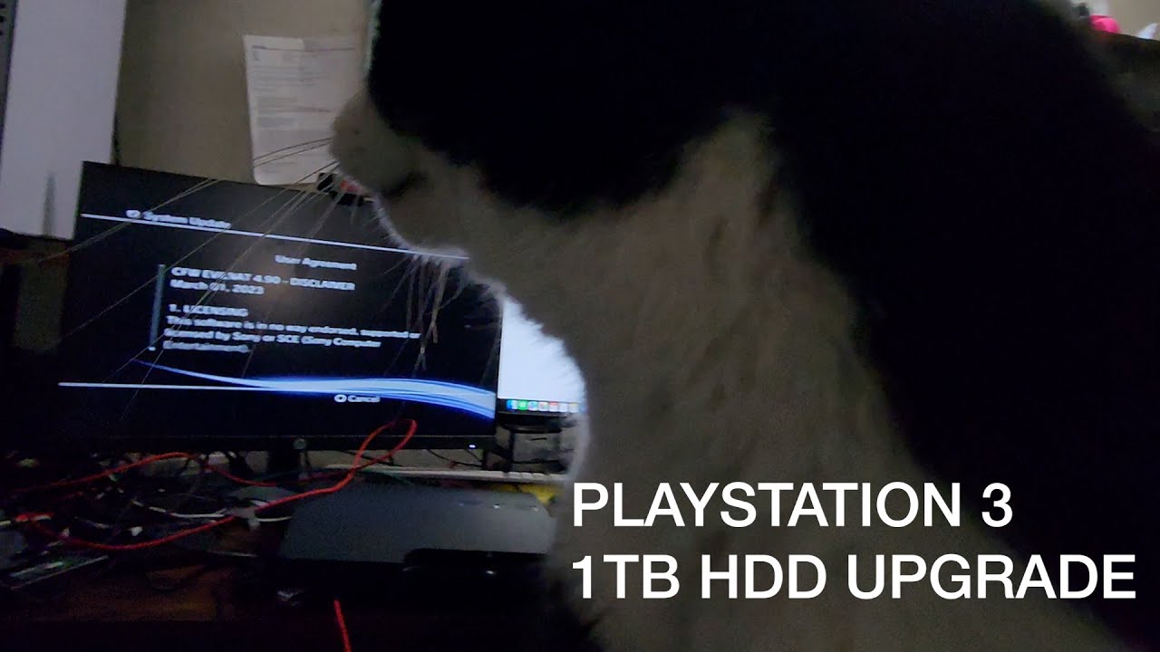 UPGRADING A PS3 IN 2023 (PLAYSTATION CAT?) - YouTube