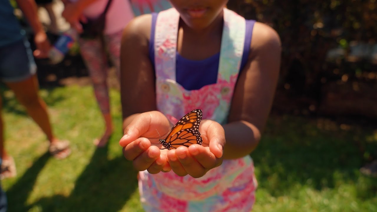 Project PRAIRIE | Toledo Zoo - YouTube