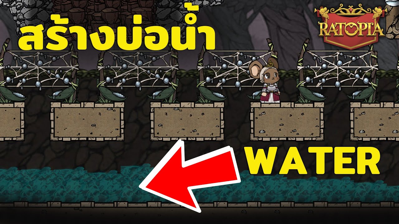 Ratopia water สร้างบ่อน้ำให้หนู จากเครื่องดักจับน้ำทำจากใยแมงมุม - YouTube