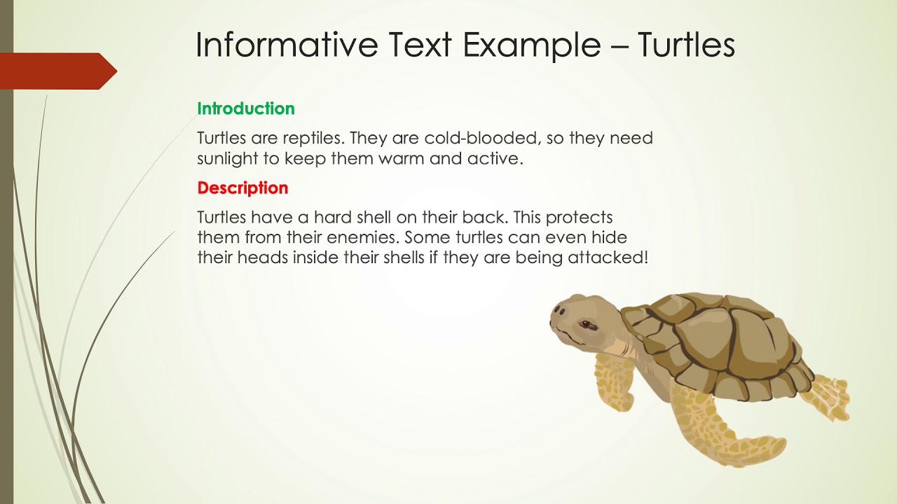 Wednesday's Writing Lesson- Developing informative writing skills - YouTube