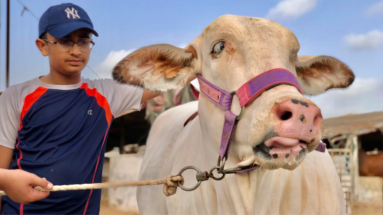 A Fun Day At Jameel Memon Society 2022 | 22-05-2022 😍😍 - YouTube