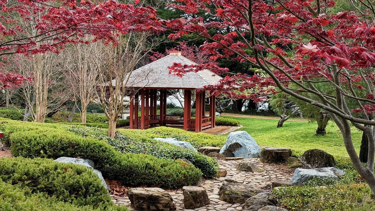 Snapshot - 手机随拍 - Canberra Nara Peace Park 堪培拉日本花园 - YouTube