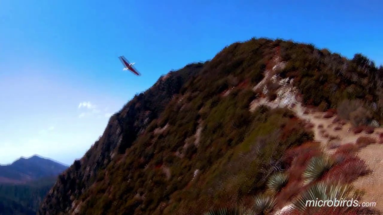 Flight of the Firefly V3 Concept HLG Slope RC Glider DLG - YouTube