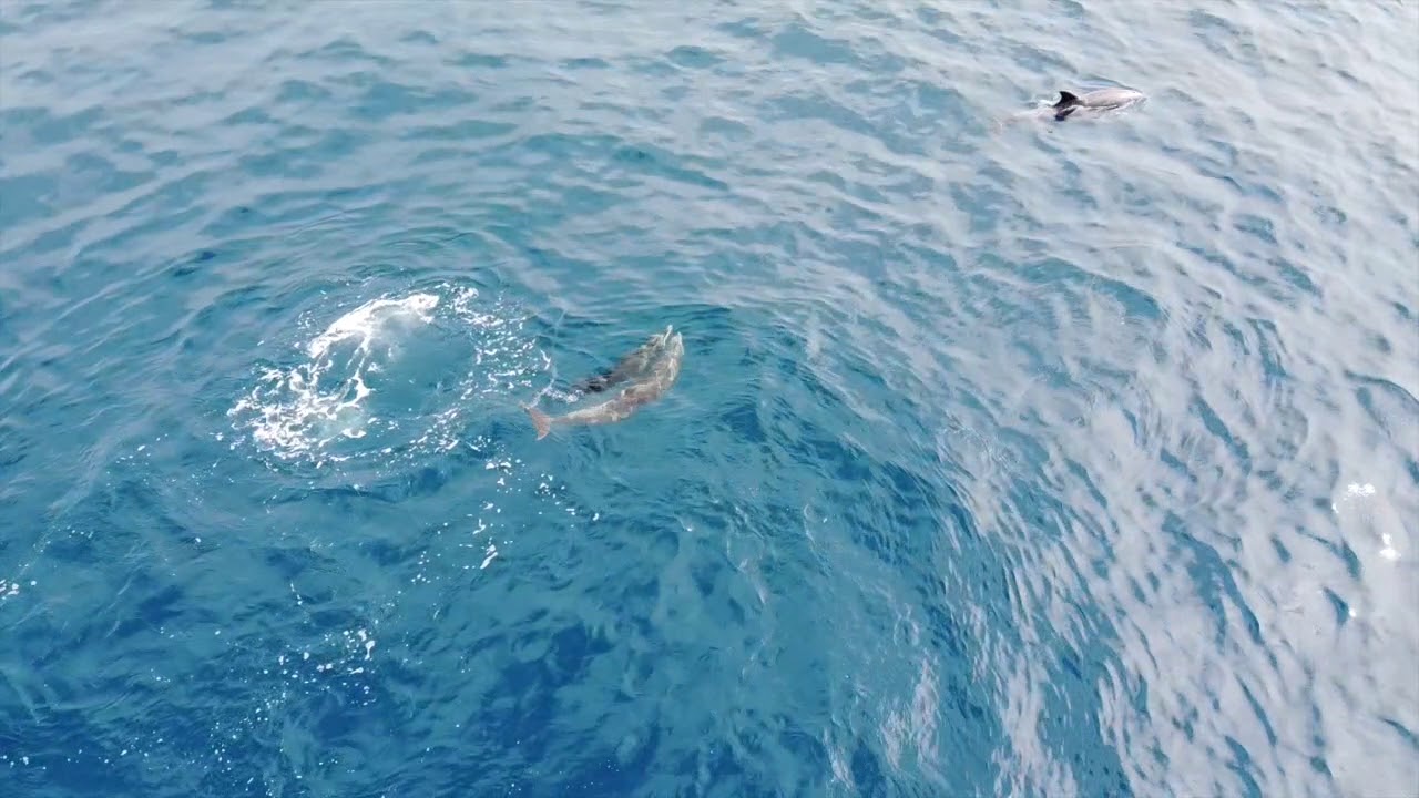 Kaloli Point Off-road Fishing Adventure - YouTube