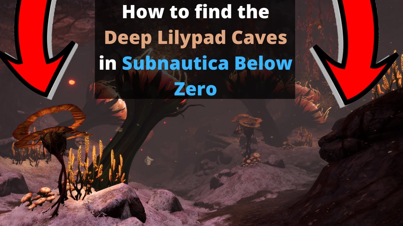 How to get to the Deep Lilypad Caves in Subnautica Below Zero - YouTube