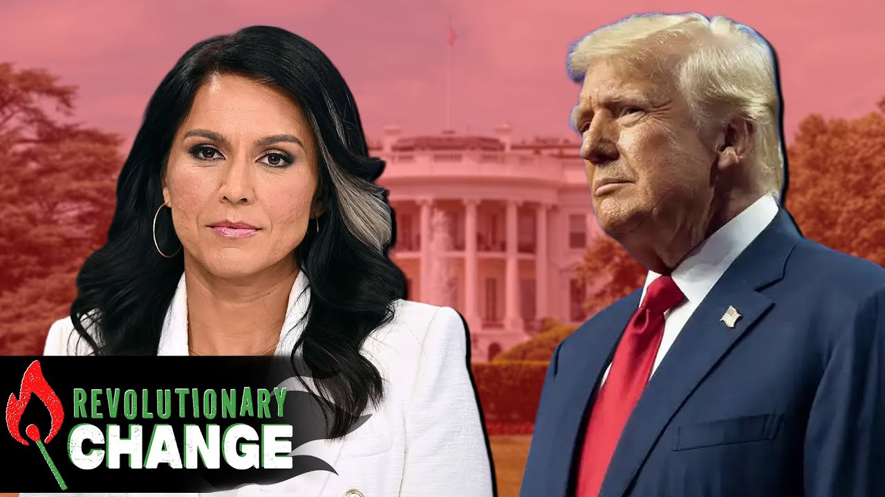 Clint Russell: Tulsi Gabbard REVEALS Russiagate Was A Soft Coup Against ...