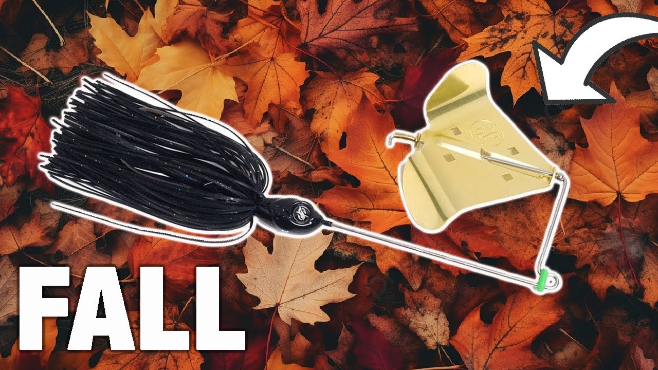 5 Must-have Lures For Fall Bass Fishing! (ultimate Autumn Baits) - YouTube