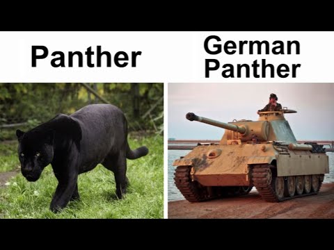 TANK MEMES