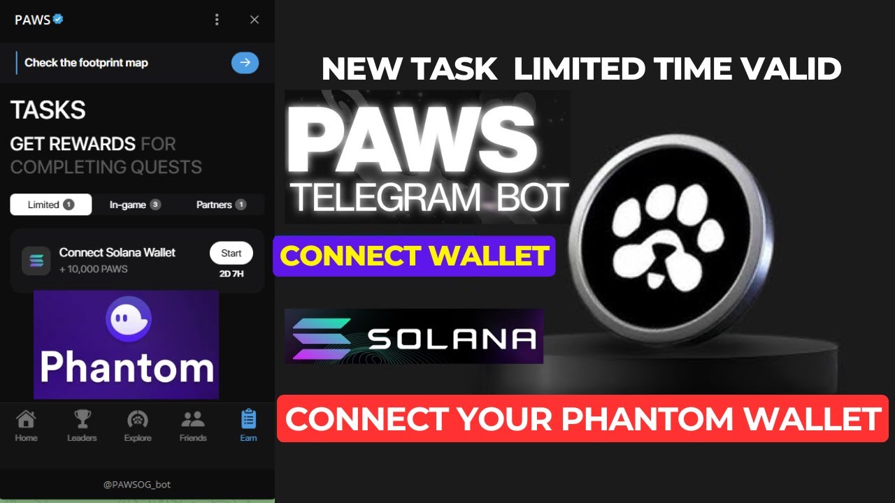 PAWS Airdrop: How to Connect Your SOLANA (Phantom) Wallet || PAWS ...