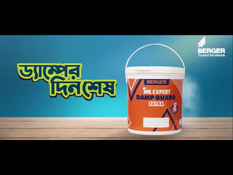 Mr. Expert Damp Guard Extra | প্রয়োগ প্রণালী | ড্যাম্পের দিন শেষ - YouTube