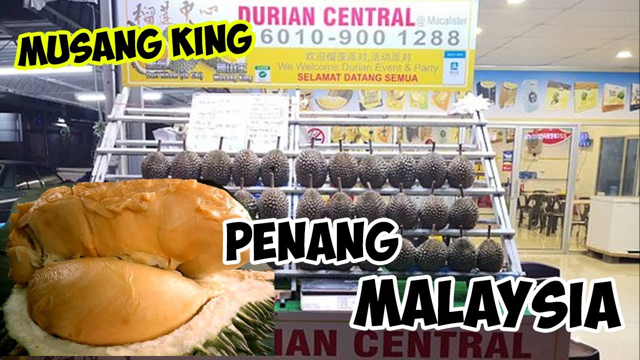 Durian Central Mussang King the best durian di penang #part9 # ...
