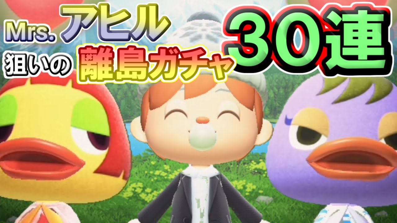 【離島ガチャ生放送】Mrs.なアヒルさん、いらっしゃ～い【概要欄必読】あつまれどうぶつの森 - YouTube