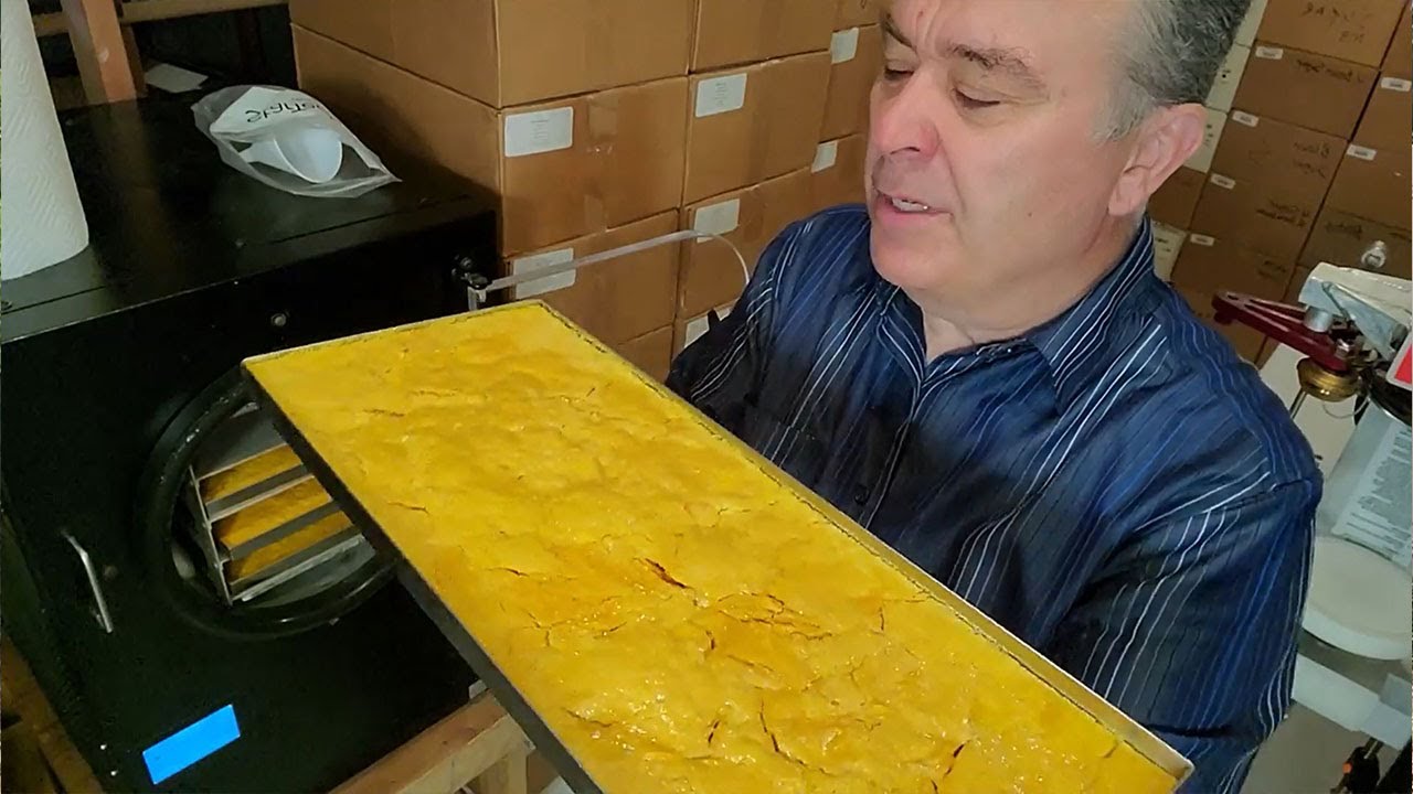 What Foods Can or Cannot be Freeze-Dried?