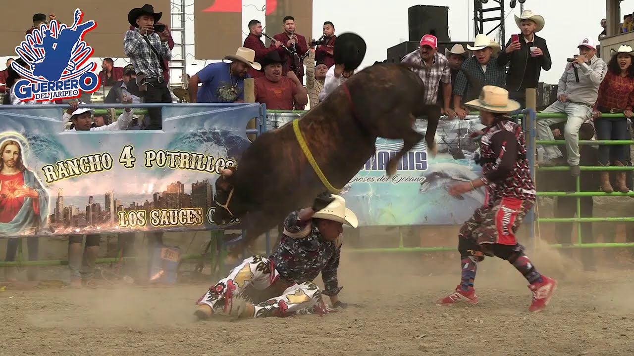 IMPRESIONANTES PORRAZO SALIERON VOLANDO LOS JINETES!! coleccion de ...
