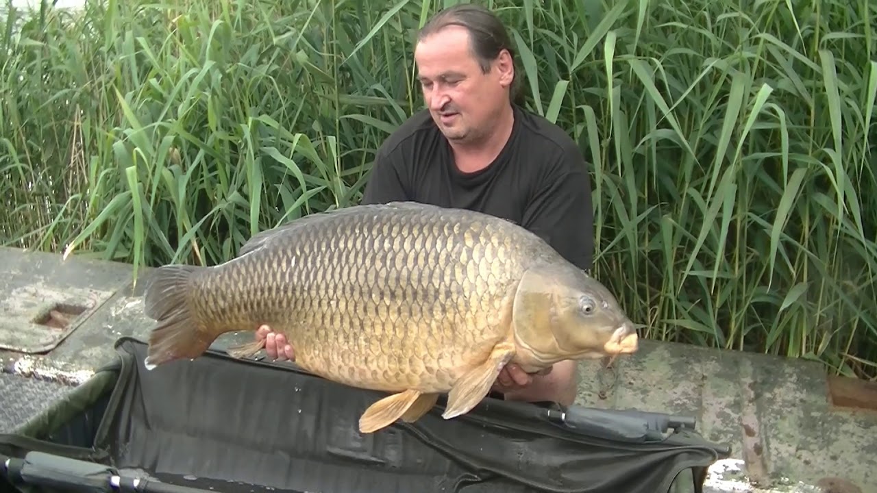 ECSÉD 32,10 a 25,50 kg - MAX CARP TEAM - YouTube