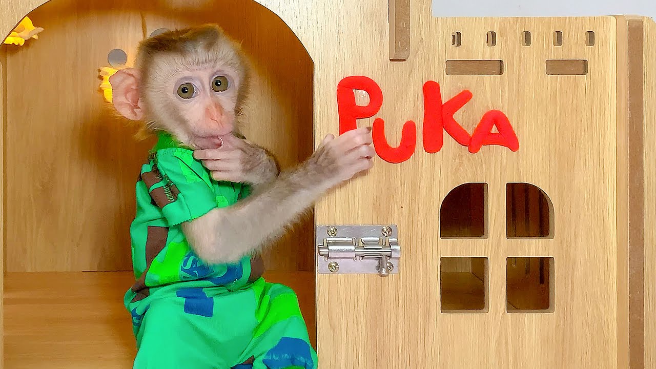 Monkey Puka is very surprised with new house - YouTube