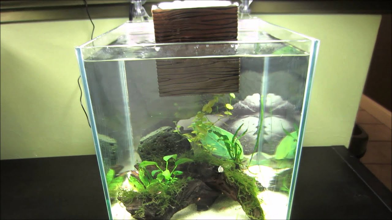 Rescaped Opae'Ula Tank AGAIN! - YouTube