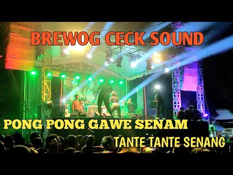 Brewog ceck sound pong pong gawe senam tante mantap
