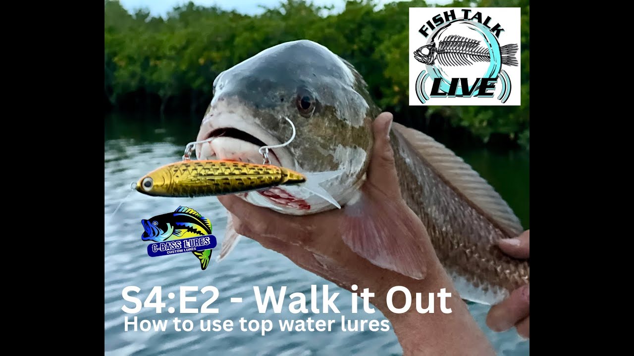 How to Top Water Fish - Fish Talk Live S4:E2 - YouTube
