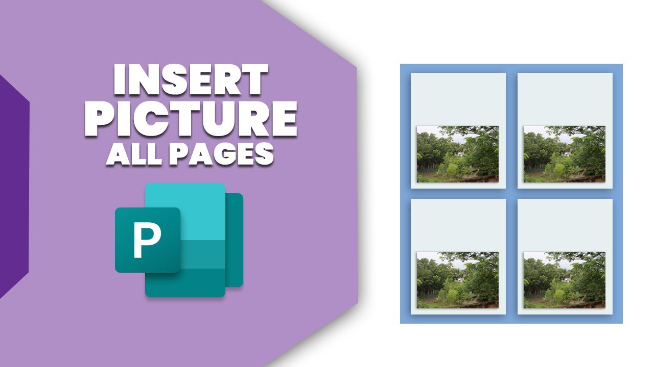 How to insert picture in all pages in publisher - YouTube