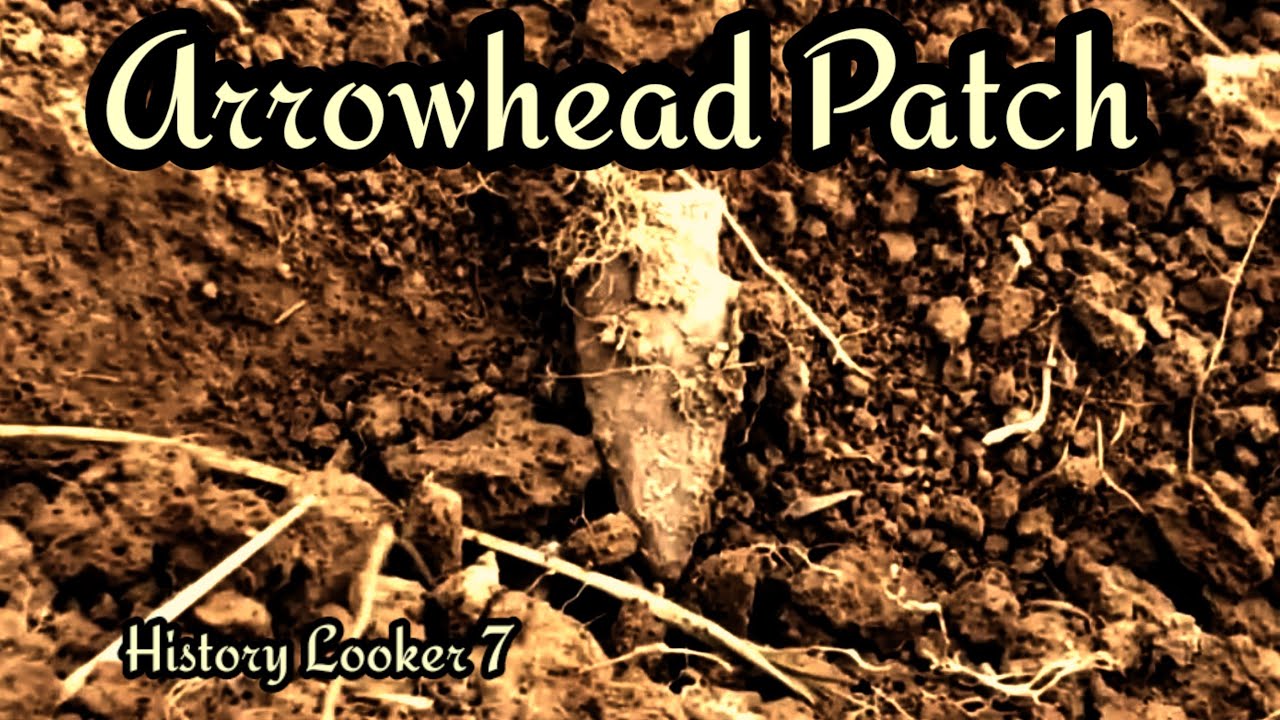 Arrowhead Patch ‐ Points Rescued !!! 💥 #arrowheadhunting - YouTube