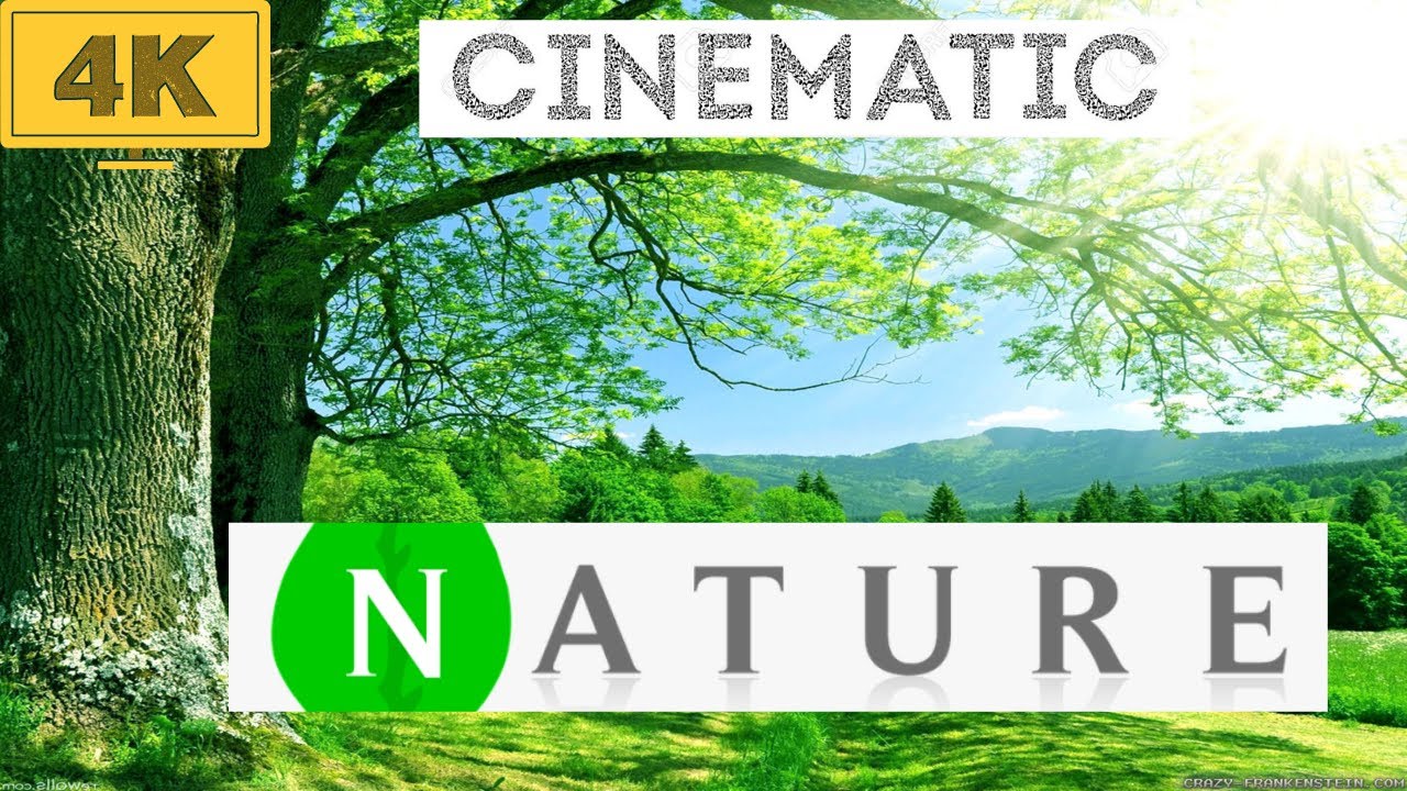 Cinematic Video - The Real Beauty of Nature 4K! - YouTube