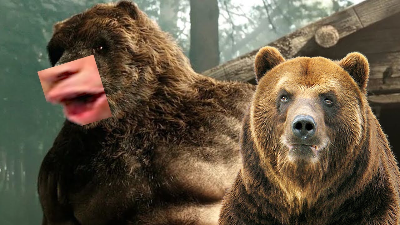 This Hero Can Control A Bear AND Transform Into One Pog - YouTube