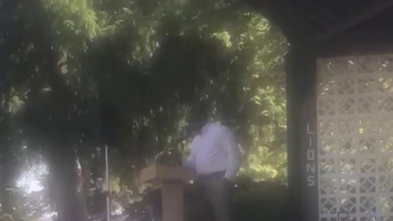 Dr. Diallo Brown Keynote Speaker for Peace Rally June 7, 2020 in Lake ...