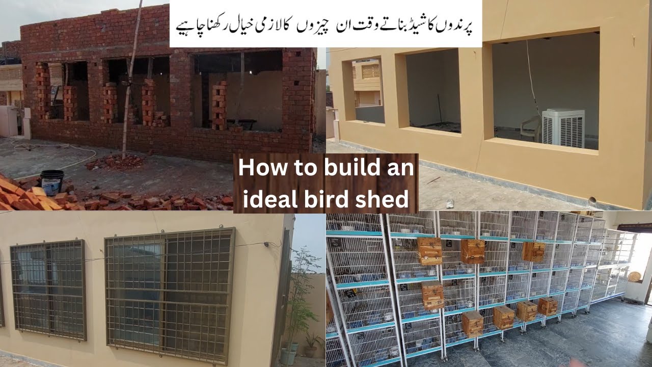 How to build an ideal bird shed | Birds Shed bnatay waqat in chezo ka ...