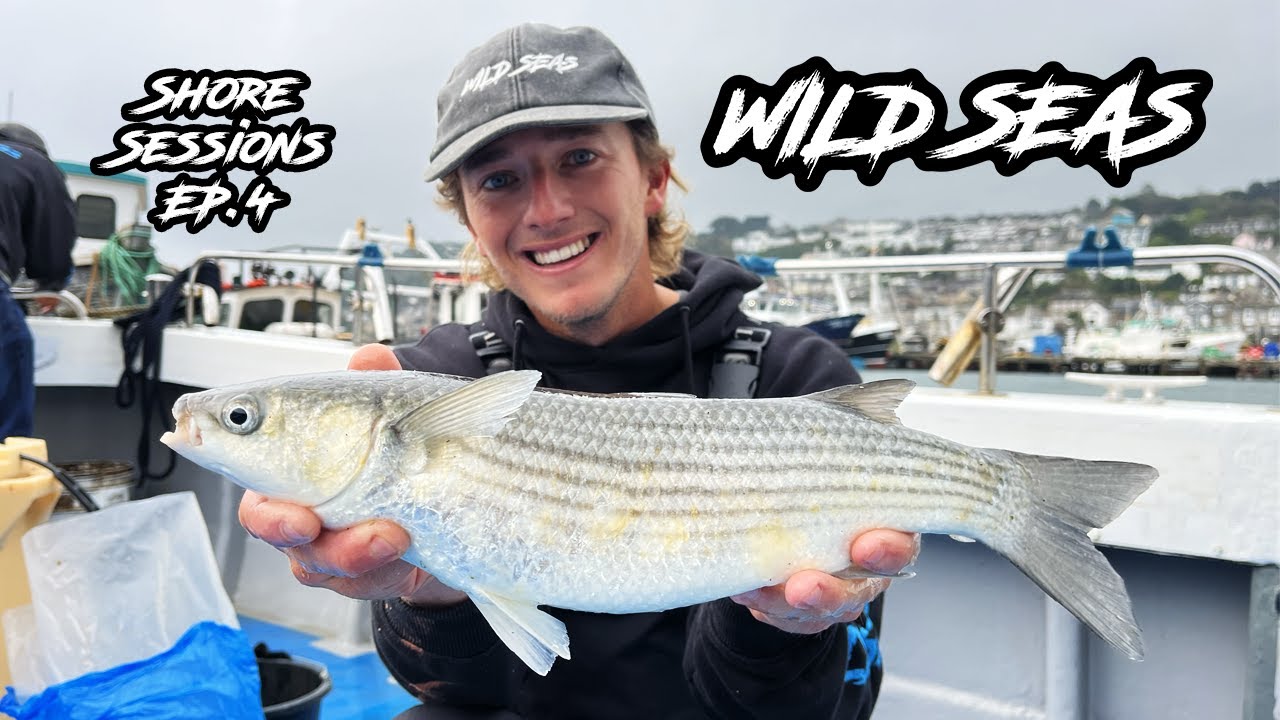 Shore Sessions Ep.4 - Harbour fishing for Mullet using light tackle ...