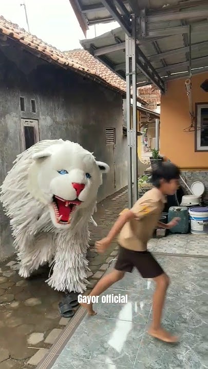 bocil Dikejar can Macanan lapor ke bapaknya bawa golok - YouTube