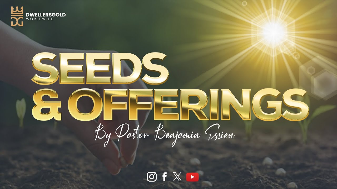 SEEDS AND OFFERINGS - YouTube